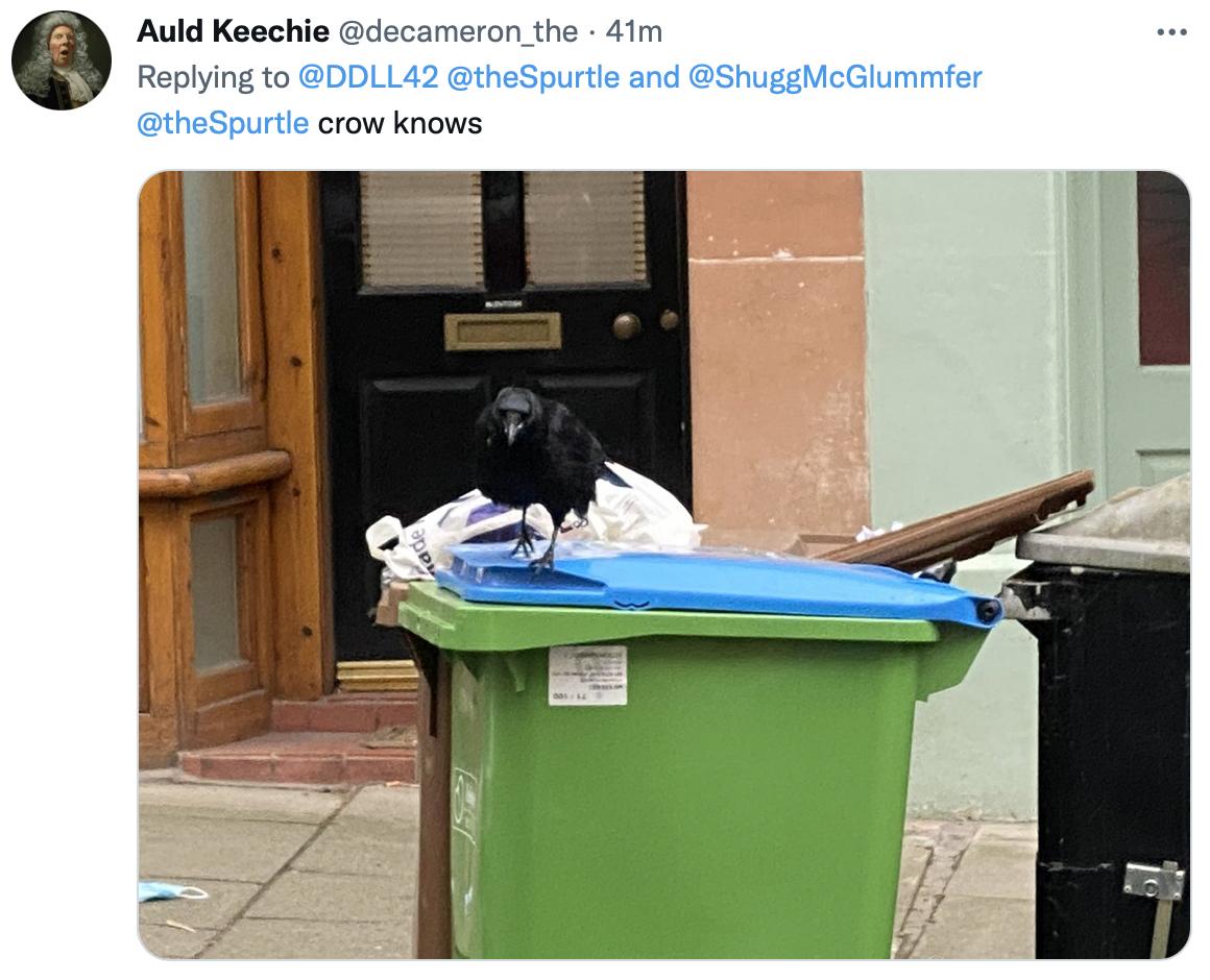 Bin hubs – where are they working? | Broughton Spurtle