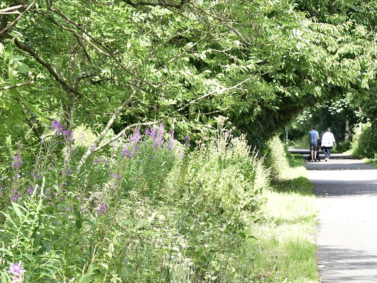 THE GARDEN OF TRANQUILITY | Broughton Spurtle