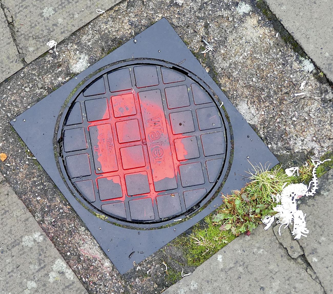 WHO SPILLED COCK ROBIN? | Broughton Spurtle